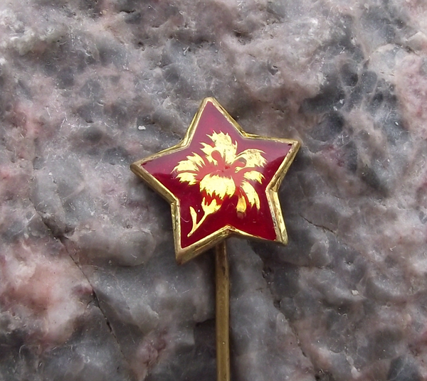 Vintage Communist Party Red Star and Carnation Flower Pin Badge ...